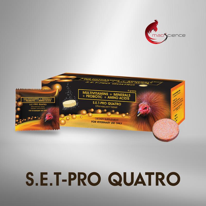 SET Pro Quatro Tablet All in one vitamins Supplement Optimum - TikTok ...