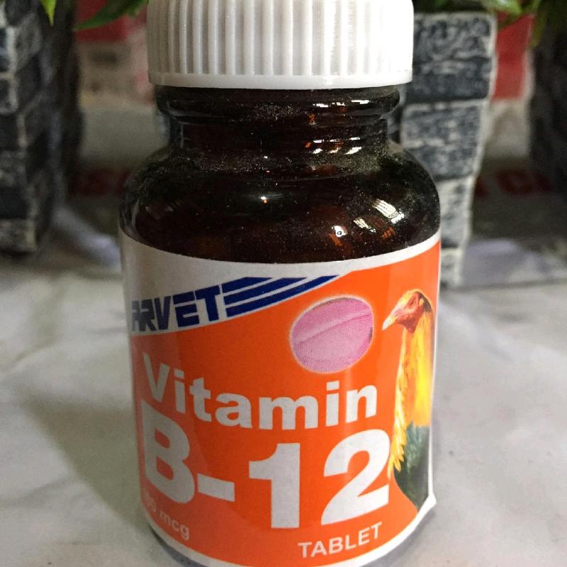 Arvet Vitamin B-12 100 mcg (100 tablet) - TikTok Shop Philippines