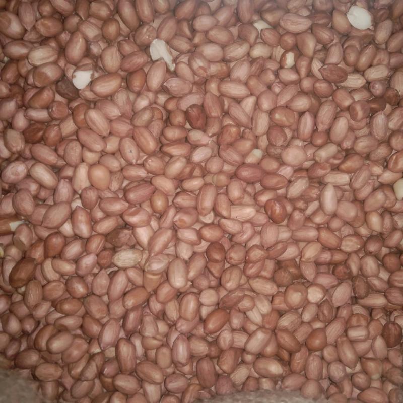 RAW PEANUTS 1 Kilo - TikTok Shop Philippines