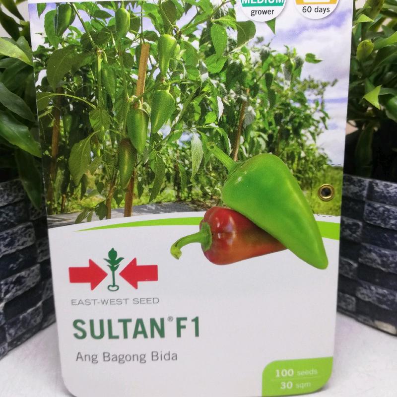 East-west seed Sultan F1 Pepper (100 Seeds) - TikTok Shop Philippines