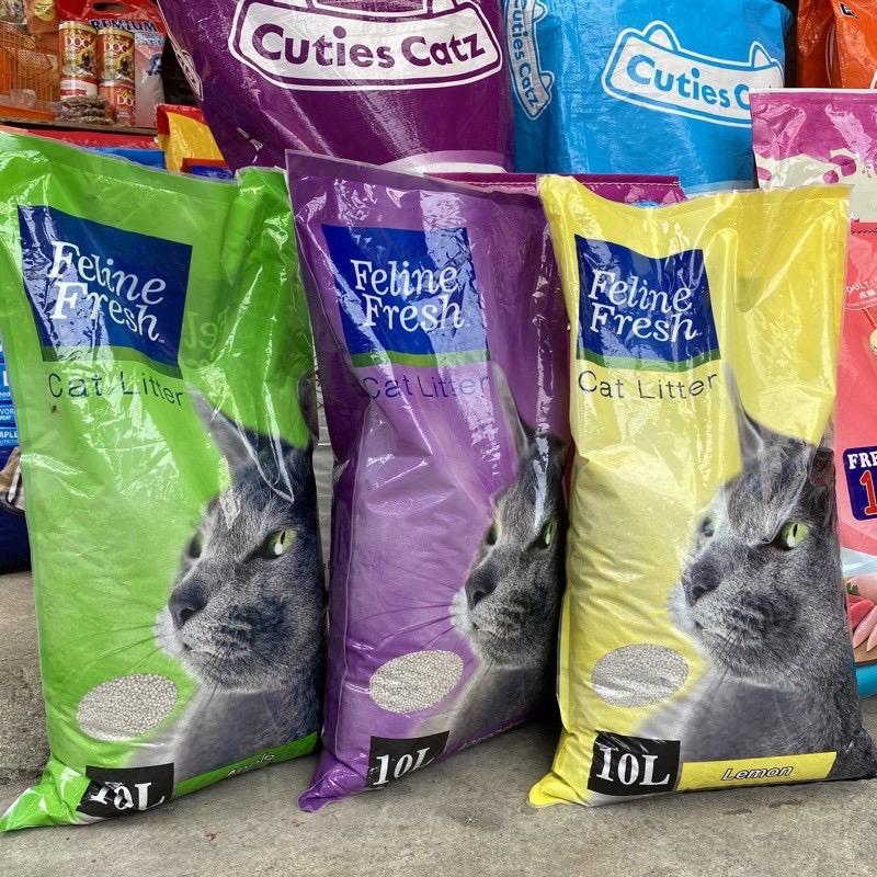 Cat Litter Sand 1 Kilogram packed - TikTok Shop Philippines