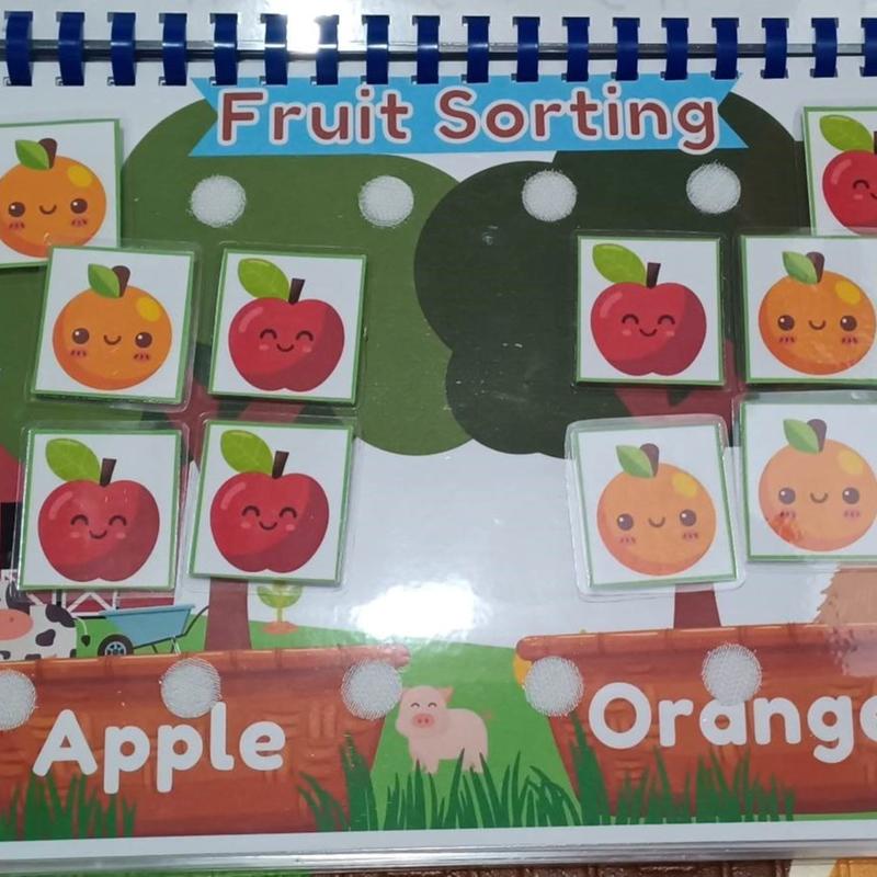 Fruits Color Sorting Interactive Laminated Toddlers / Preschool ...