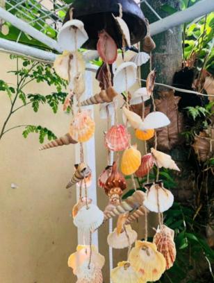 Natural Coconut Shell Wind Chimes with Mix of Sea Shells for - TikTok ...