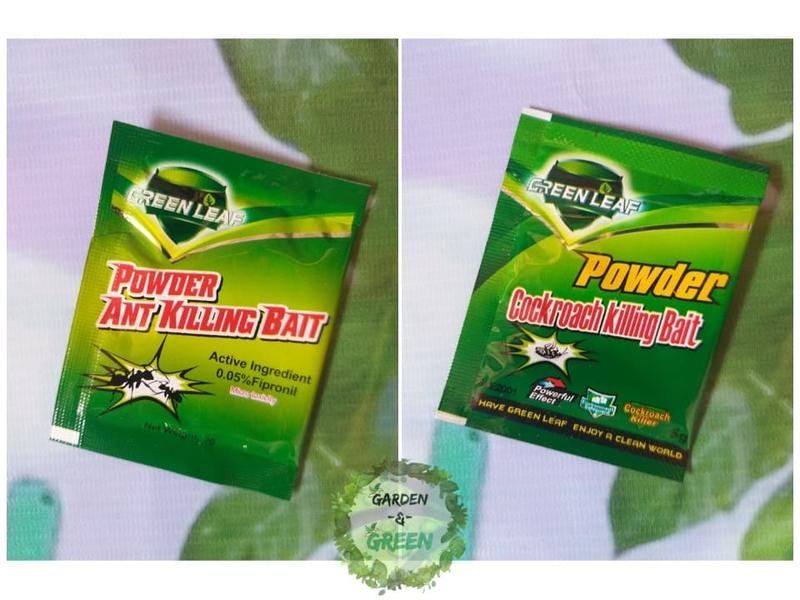 Green leaf powder Ant bait household powder - TikTok Shop Philippines