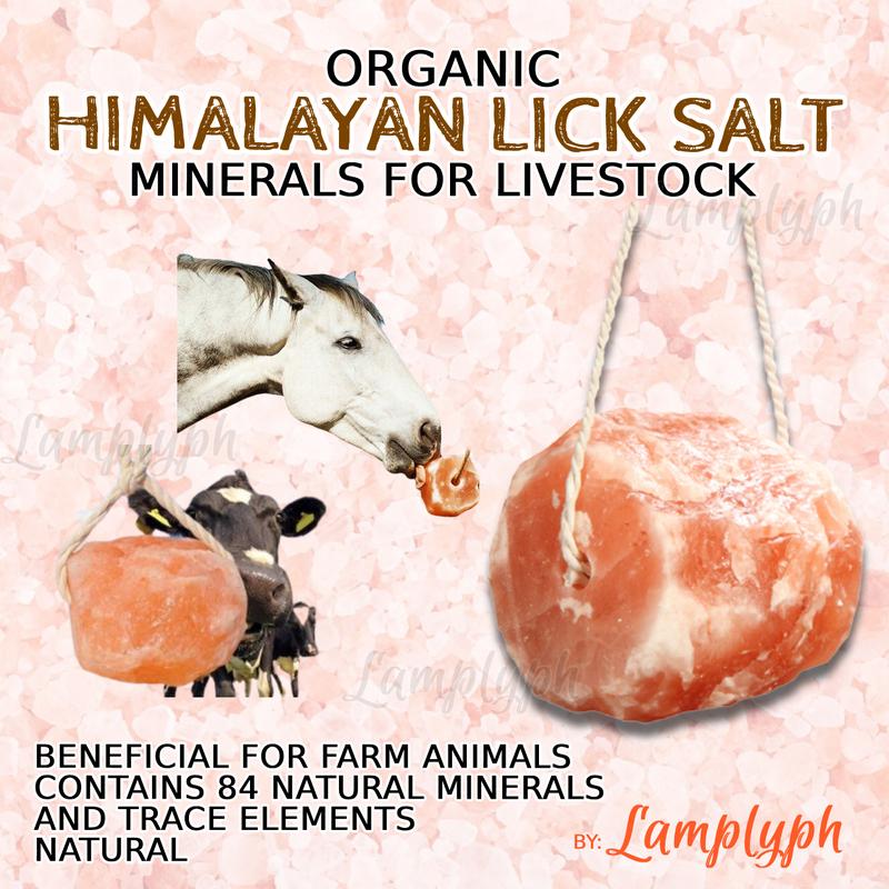 2kg Animal Himalayan Lick Salt Licking Salt Block Mineral Salt - TikTok ...