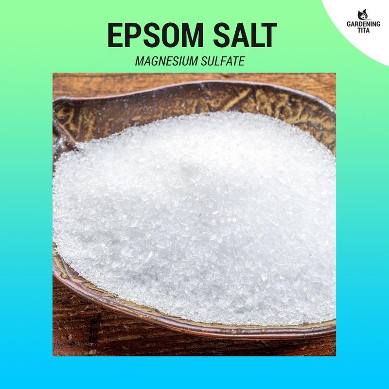(250G) Water Soluble Epsom Salt - Magnesium Sulfate for Gardening ...